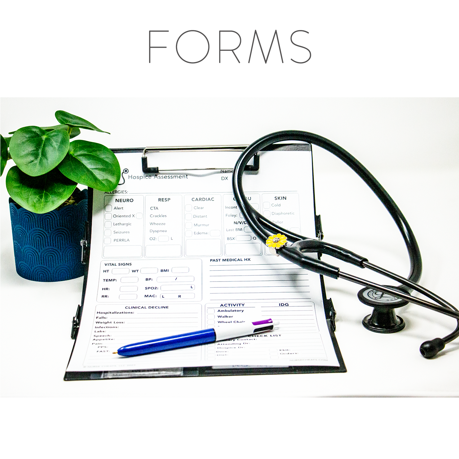 Forms for Nurses in All Specialties