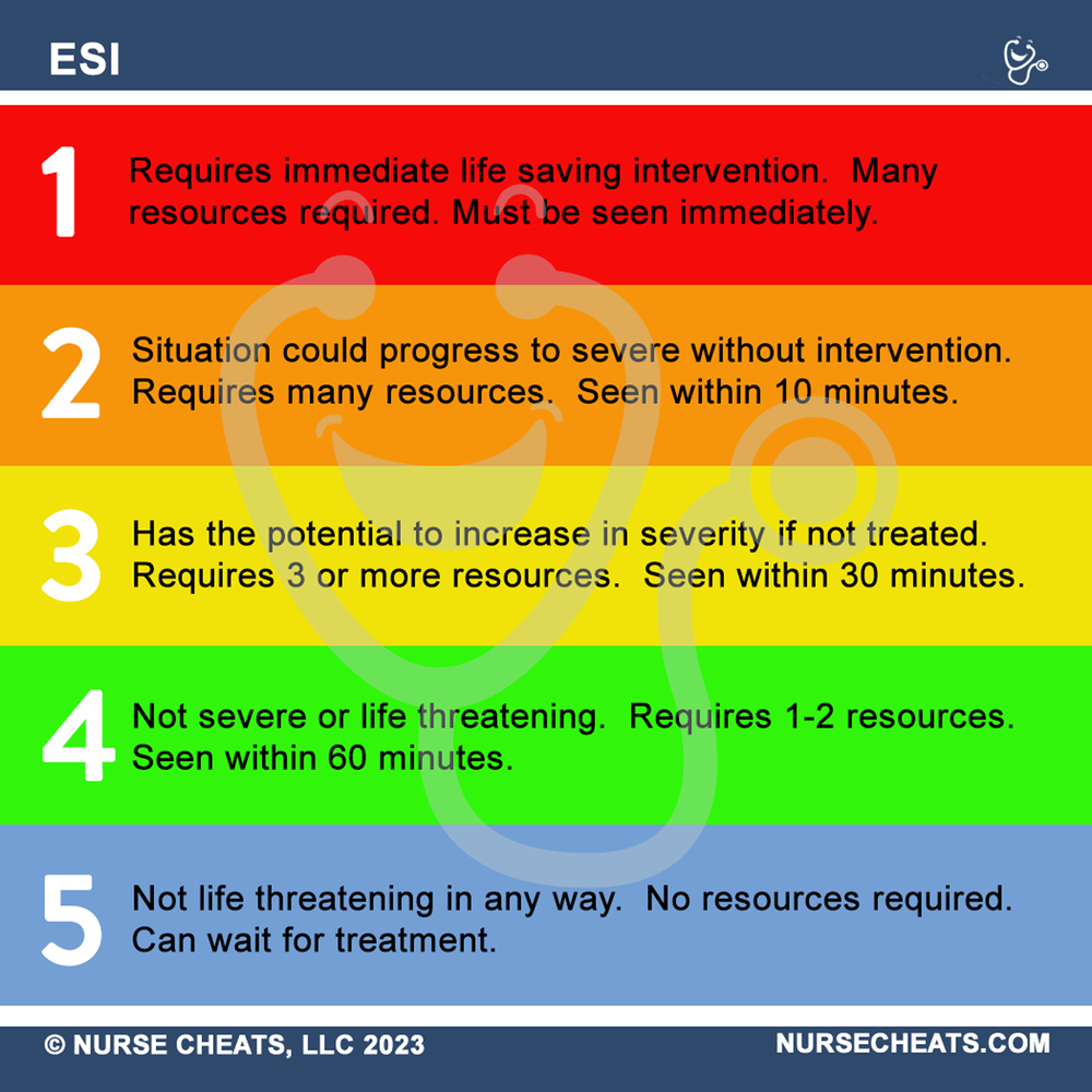 ESI Triage Badge Buddy for ER Nurses