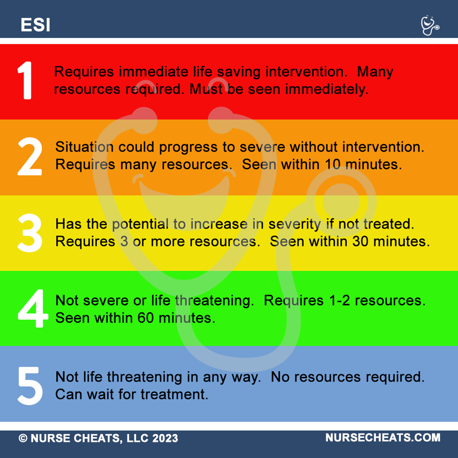 ESI Triage Badge Buddy for ER Nurses