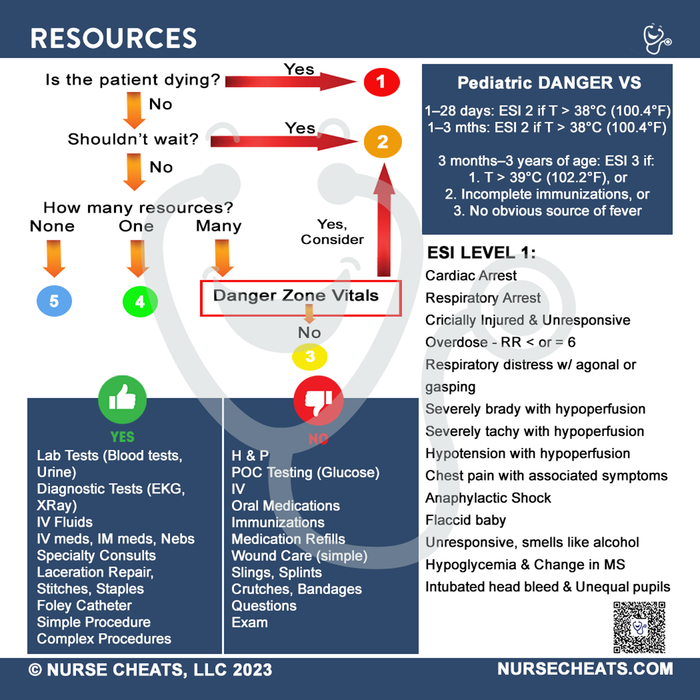 ESI Triage Badge Buddy for ER Nurses