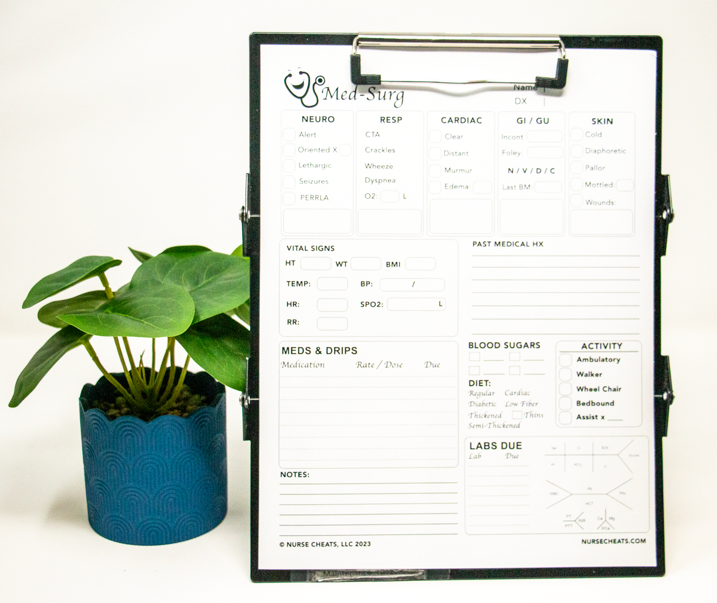 Med-Surge Nurse Brain Sheet for Nurses