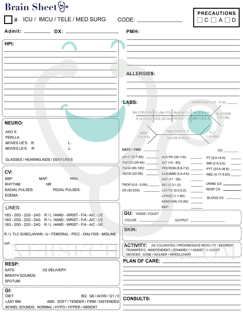 ICU Brain Sheet for ICU Nurses