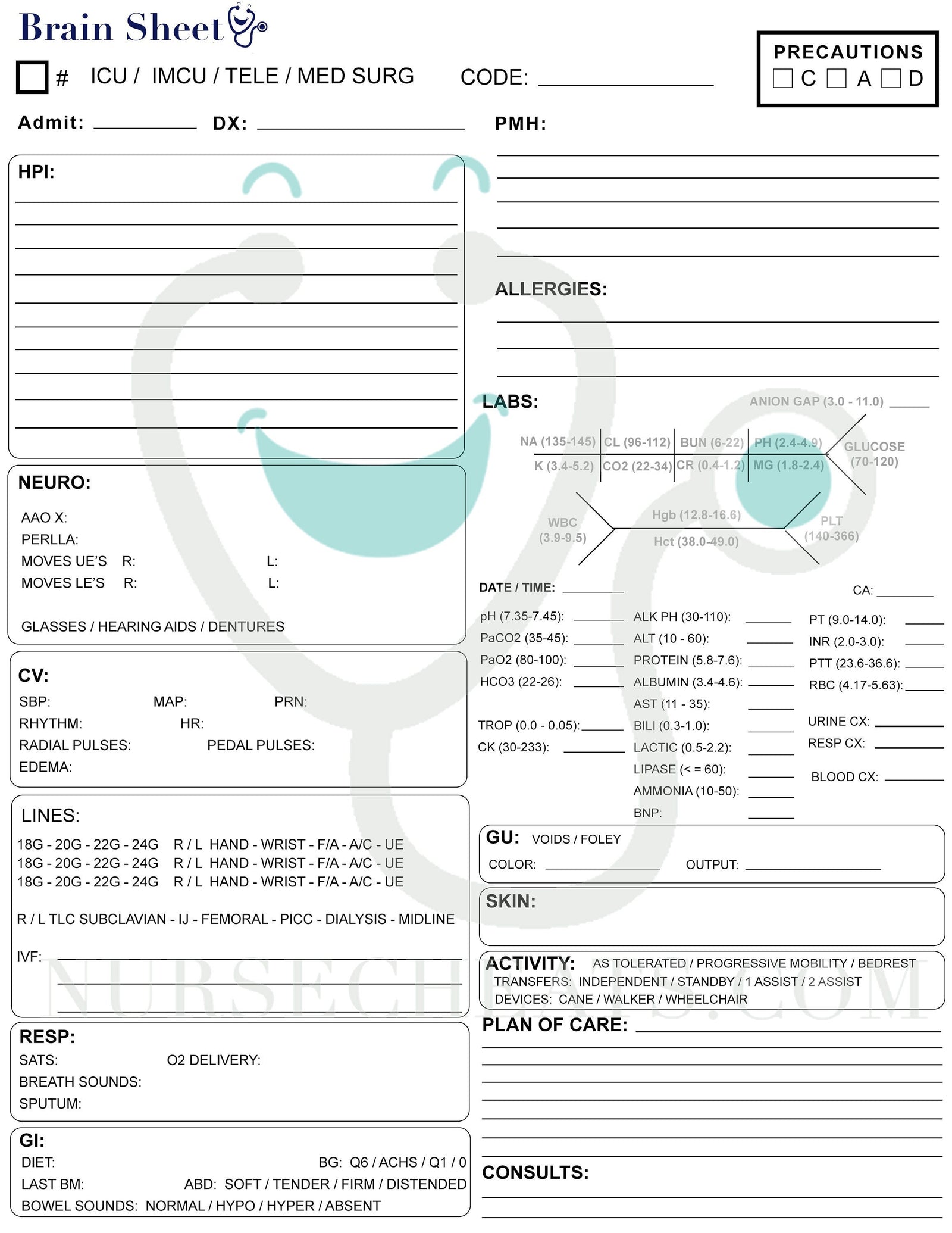 ICU Brain Sheet for ICU Nurses