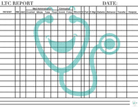 Long Term Care Report Sheet for Nurses- Digital download